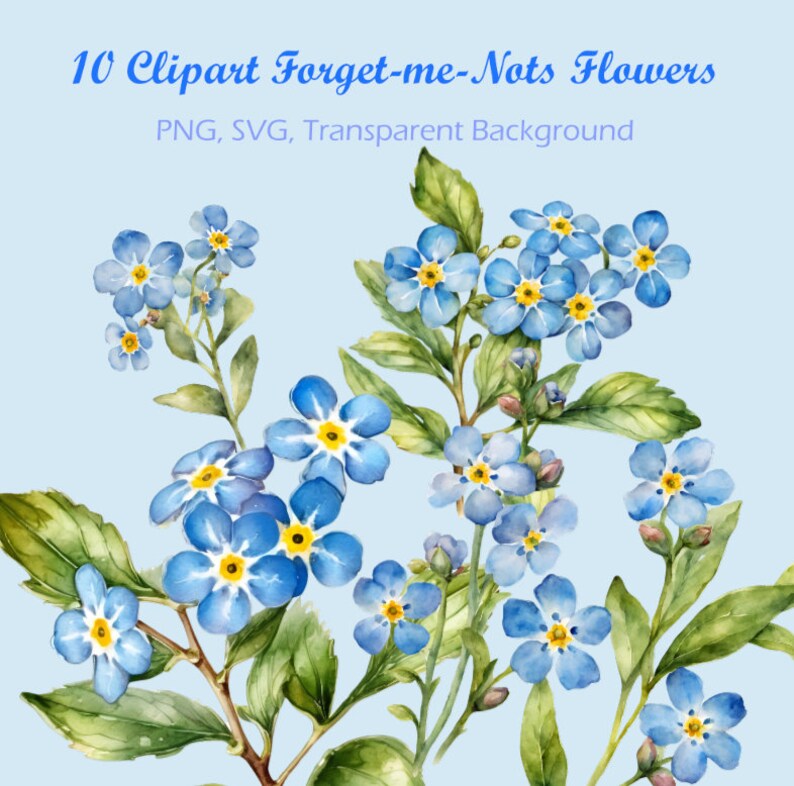 10 Forget-me-nots Flowers Clipart, High Quality, Printable Watercolor ...