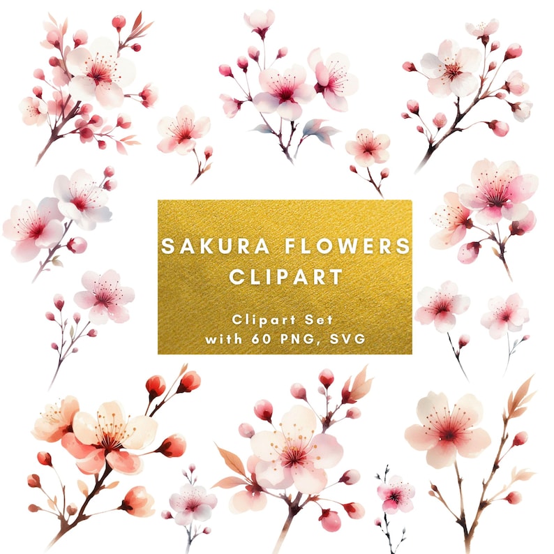 Sakura Flowers Clipart 60 PNG SVG Images High Quality Floral Clipart ...
