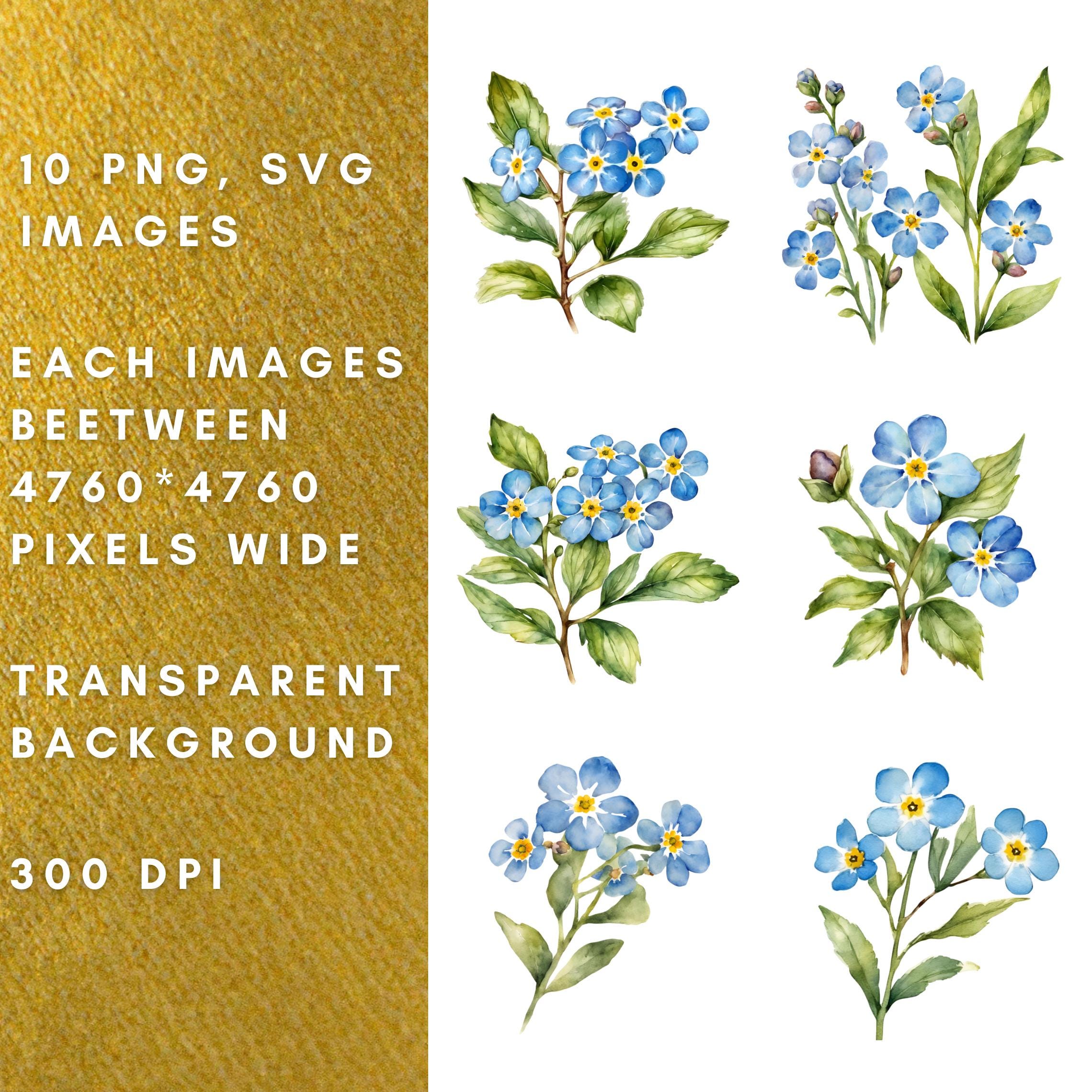 10 Forget-me-nots Flowers Clipart, High Quality, Printable Watercolor ...