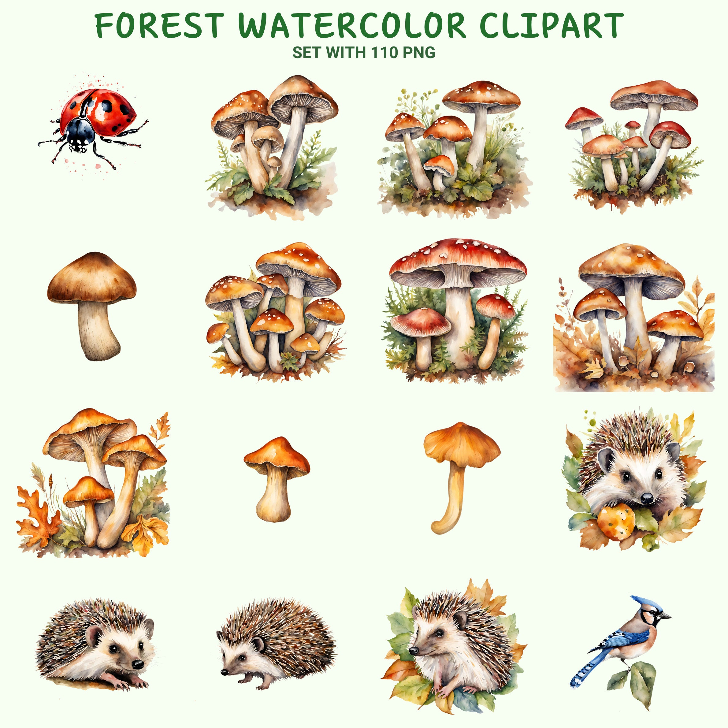 110 Forest Watercolor Clipart High Quality Nature Forest Watercolor ...