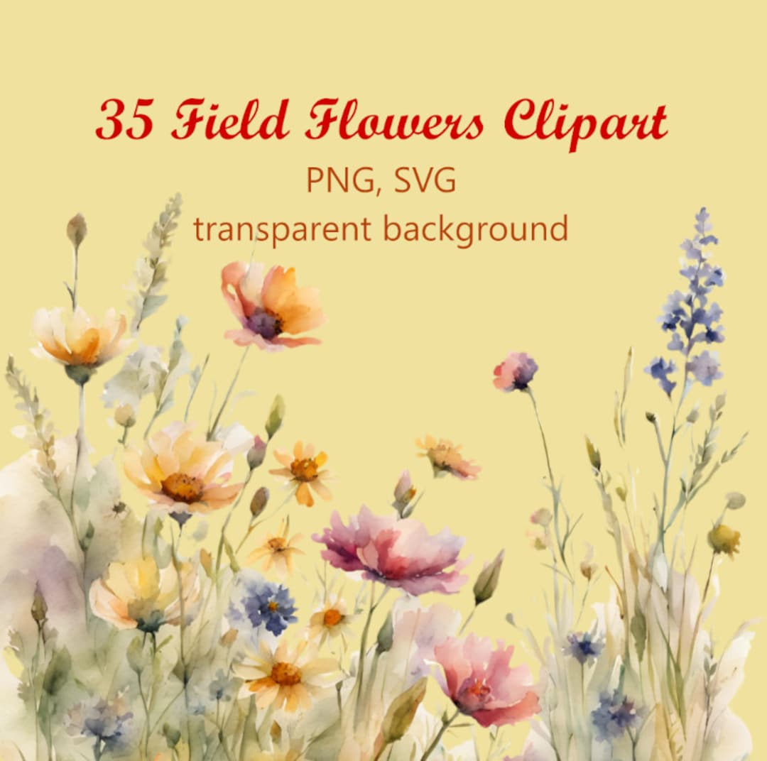 35 Field Flowers Clipart High Quality, High Quality PNG, SVG ...