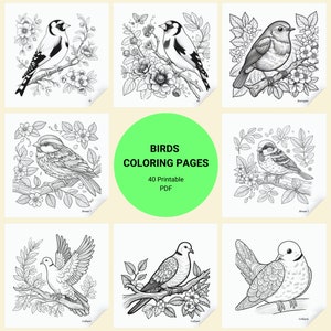 Birds Coloring Pages, Birds Coloring Book, Children Coloring Book ...