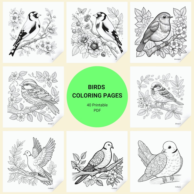 Birds Coloring Pages, Birds Coloring Book, Children Coloring Book ...