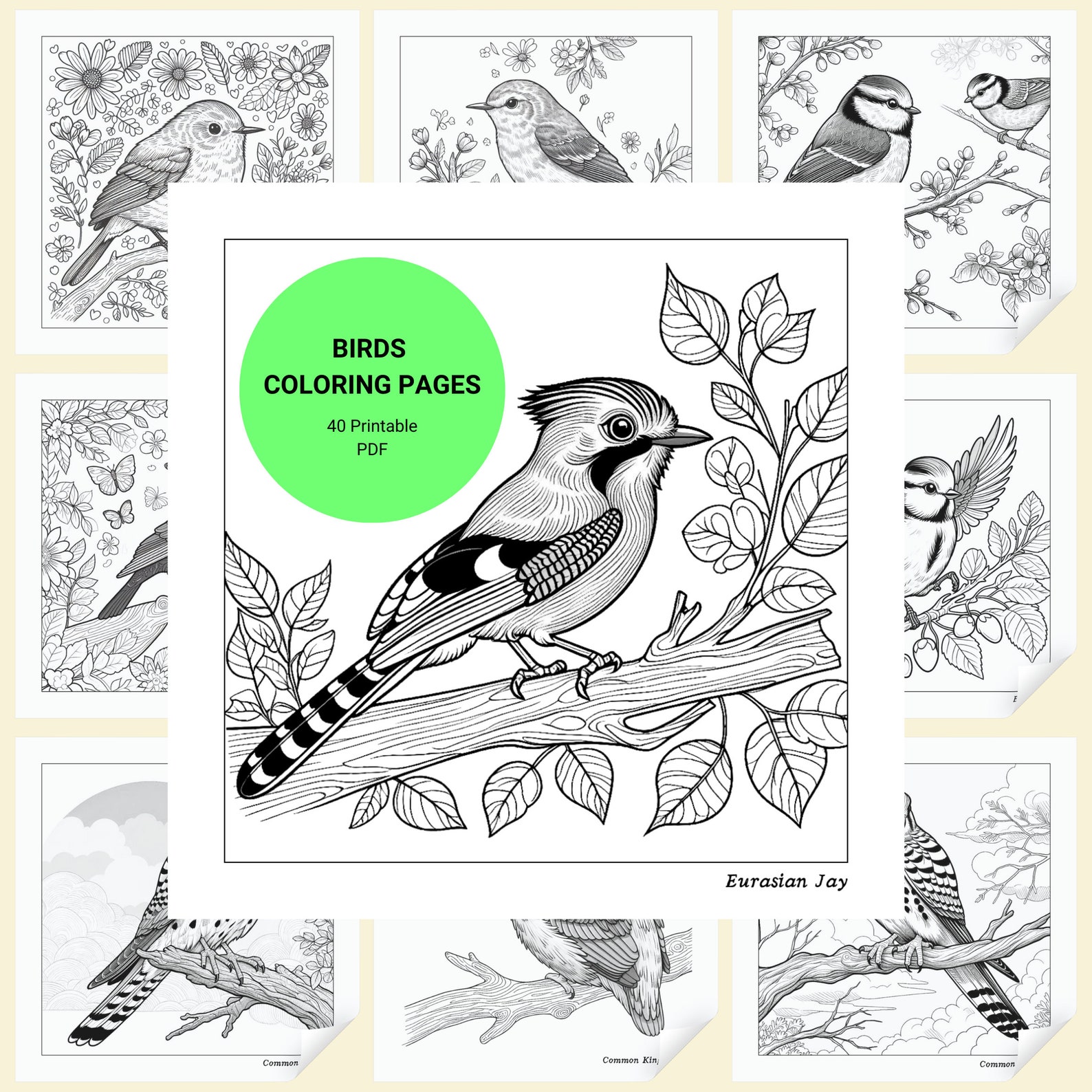 Birds Coloring Pages, Birds Coloring Book, Children Coloring Book ...