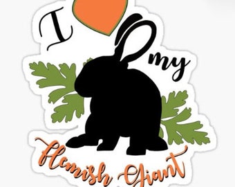 Flemish Giant | Etsy