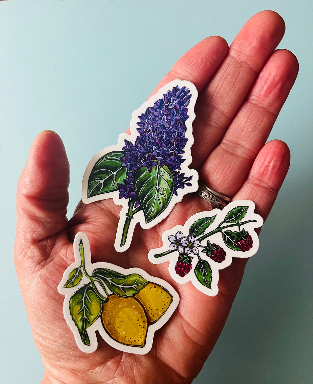 Lilac, Lemon, Raspberry Vinyl Stickers. Super Cute. Gift - Etsy