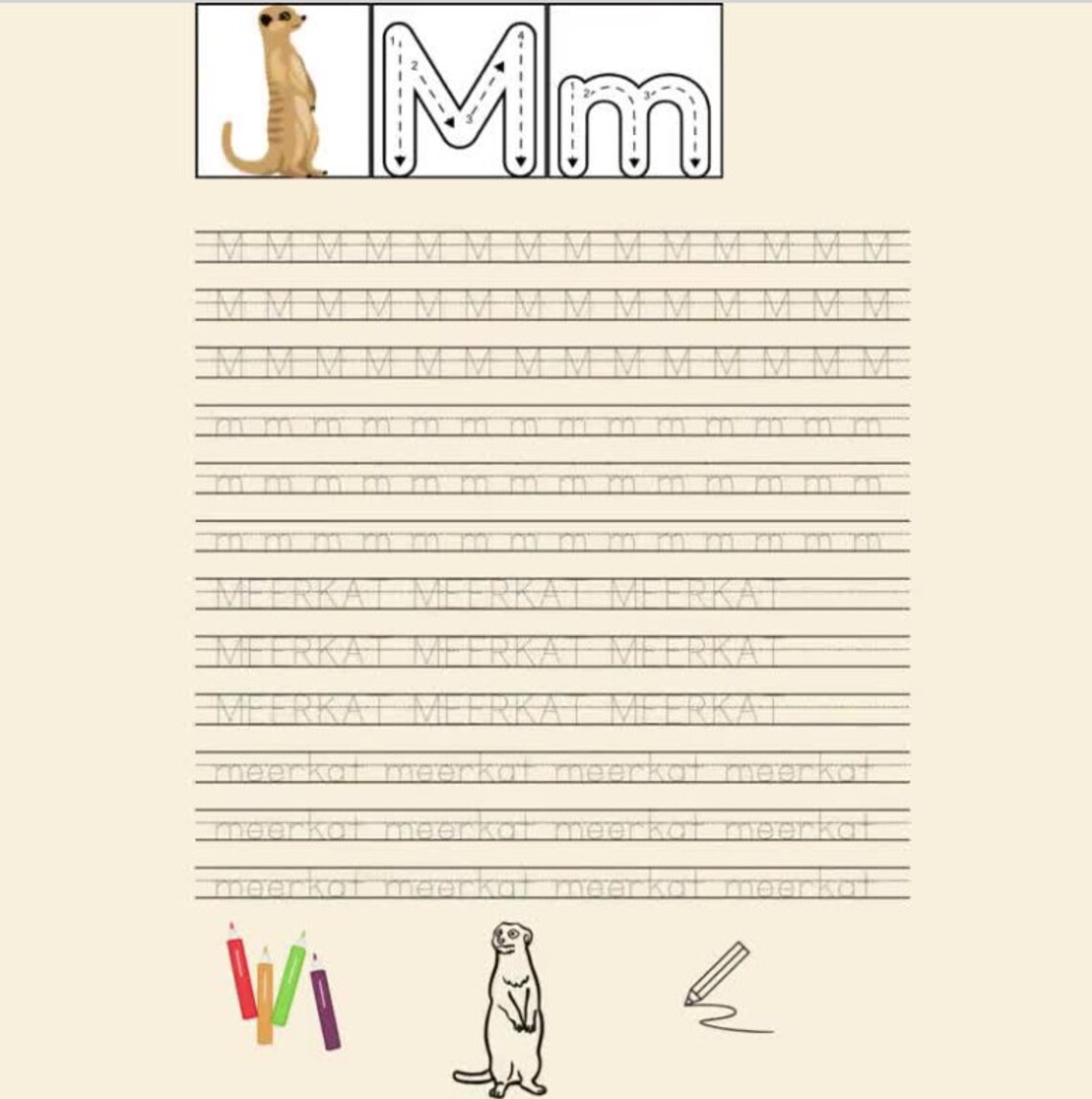 Alphabet in English with animals - Etsy Nederland