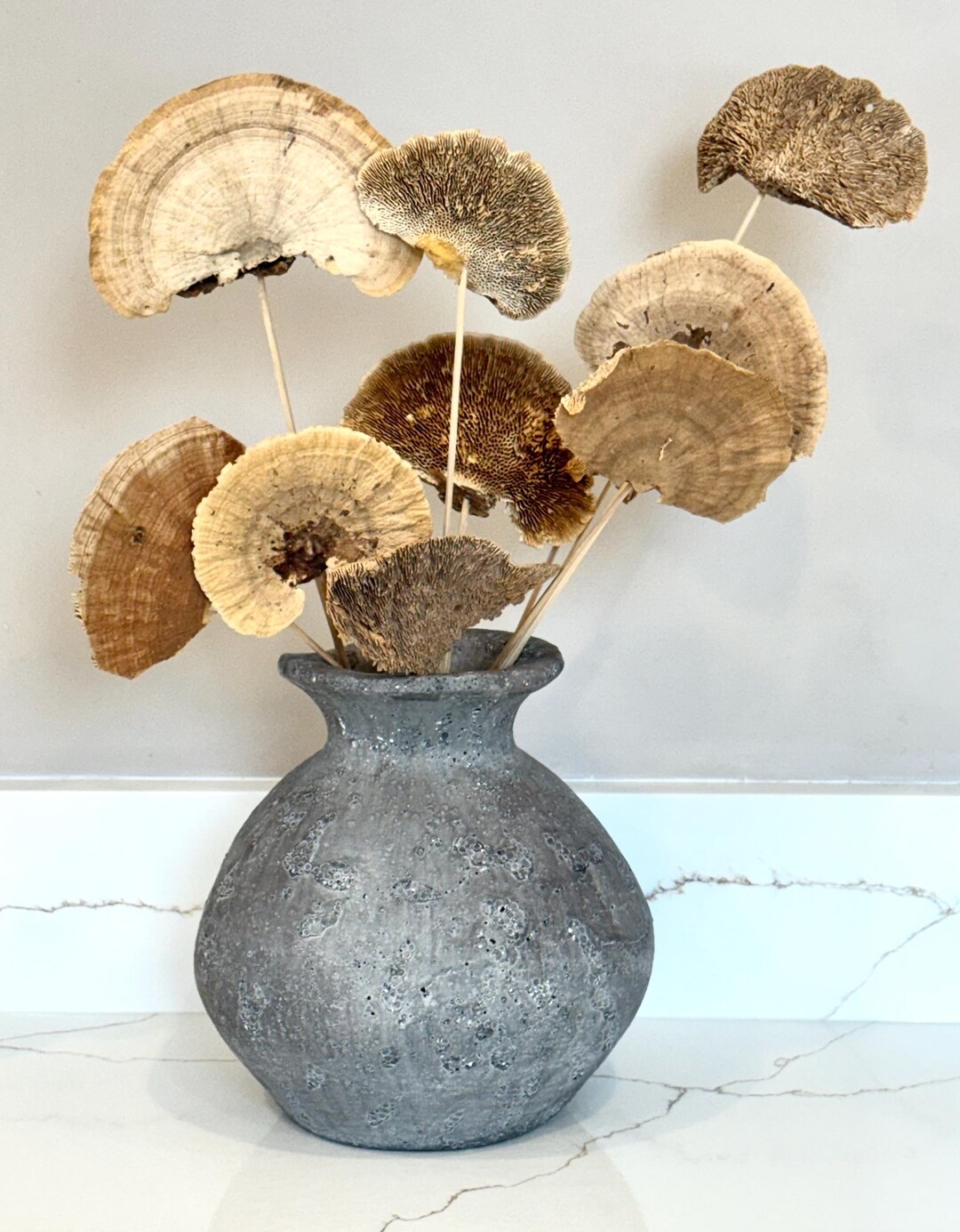 Dried Sponge Mushrooms | Dried Sponge Mushroom Picks | Natural Wreath ...