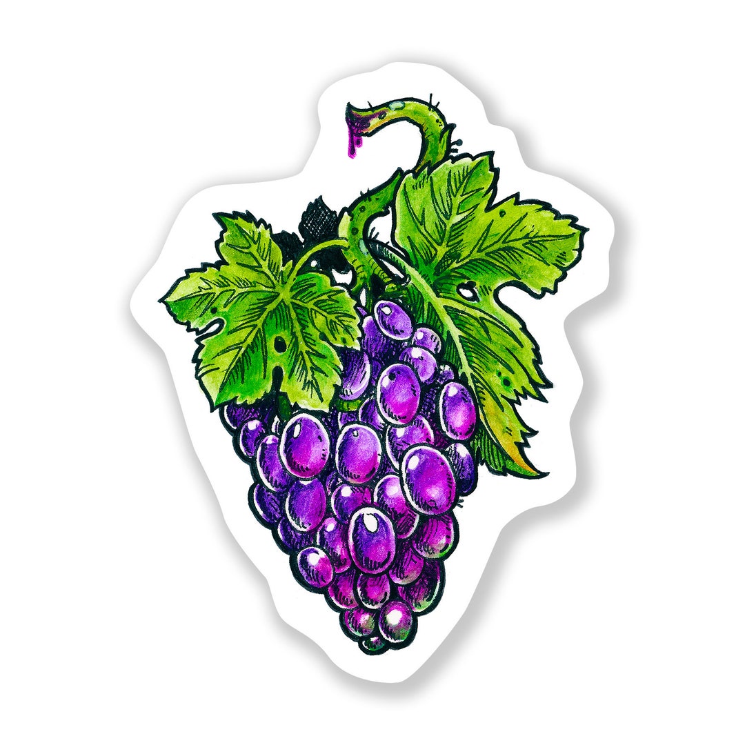 Bunch of Grapes Sticker - Vinyl Art Sticker Decal for Your Laptop ...