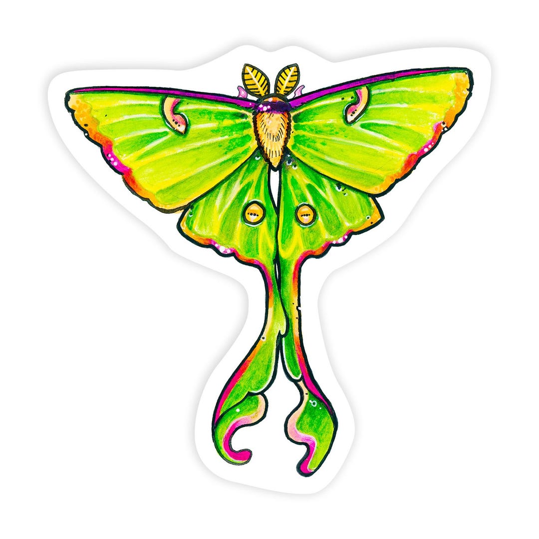 Luna Moth Art Sticker - Vinyl Decal for Your Laptop, Water Bottle, Bike ...