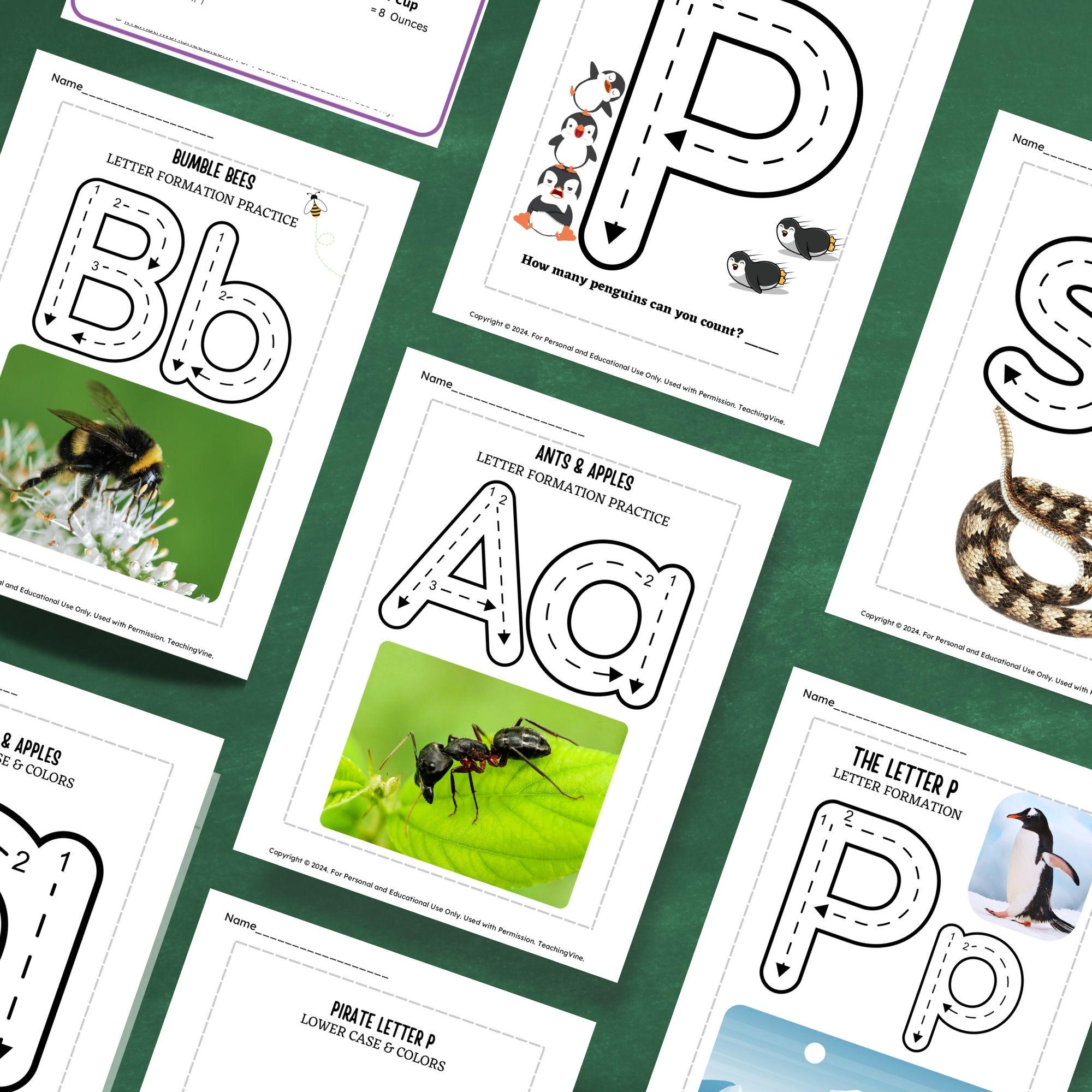 ABC Alphabet Letters Worksheet Bundle Phonics Printable Activities ...