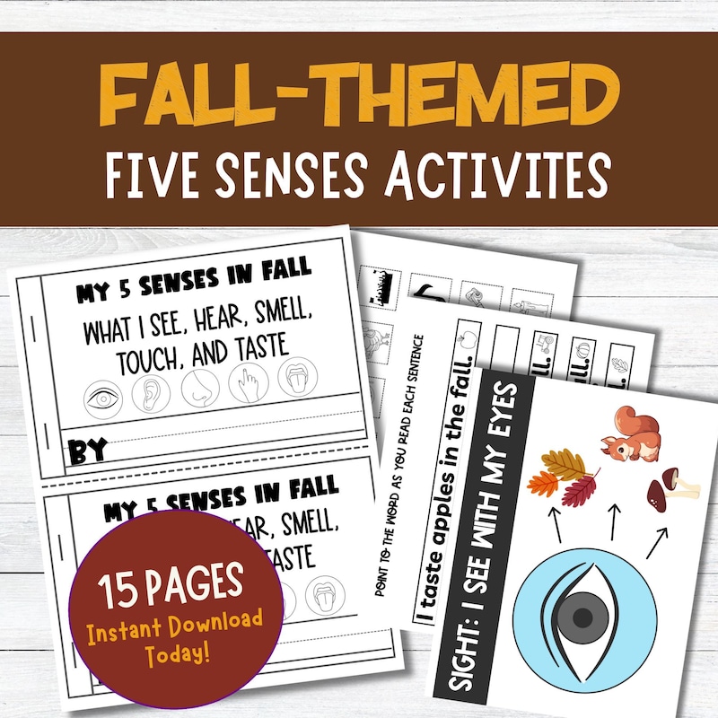 Five Senses Preschool - Etsy