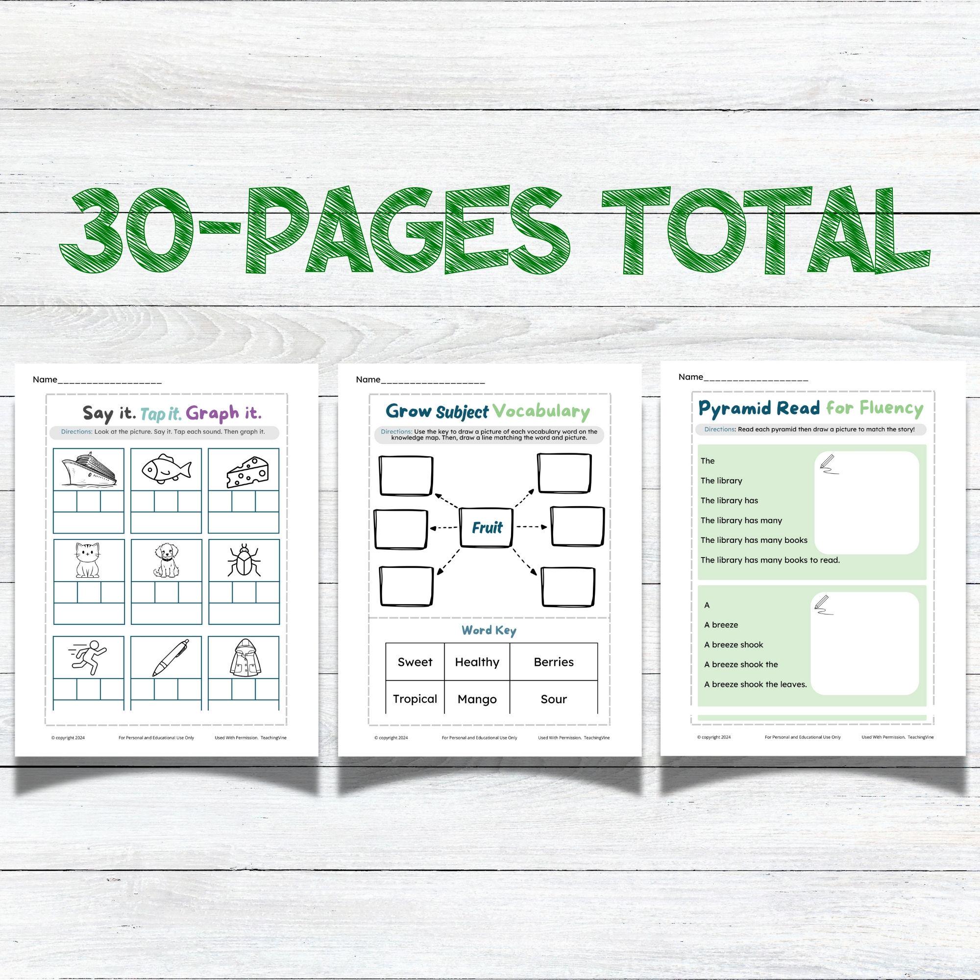 Science of Reading Worksheet Bundle Literacy Centers Printable ...