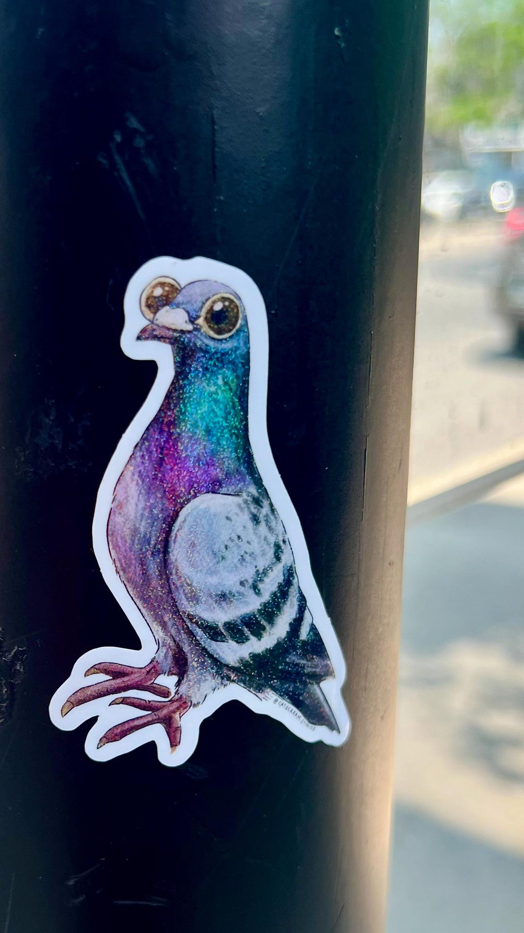 Anatomically Correct Pigeon Sticker. (it's a Pigeon Exactly How They ...