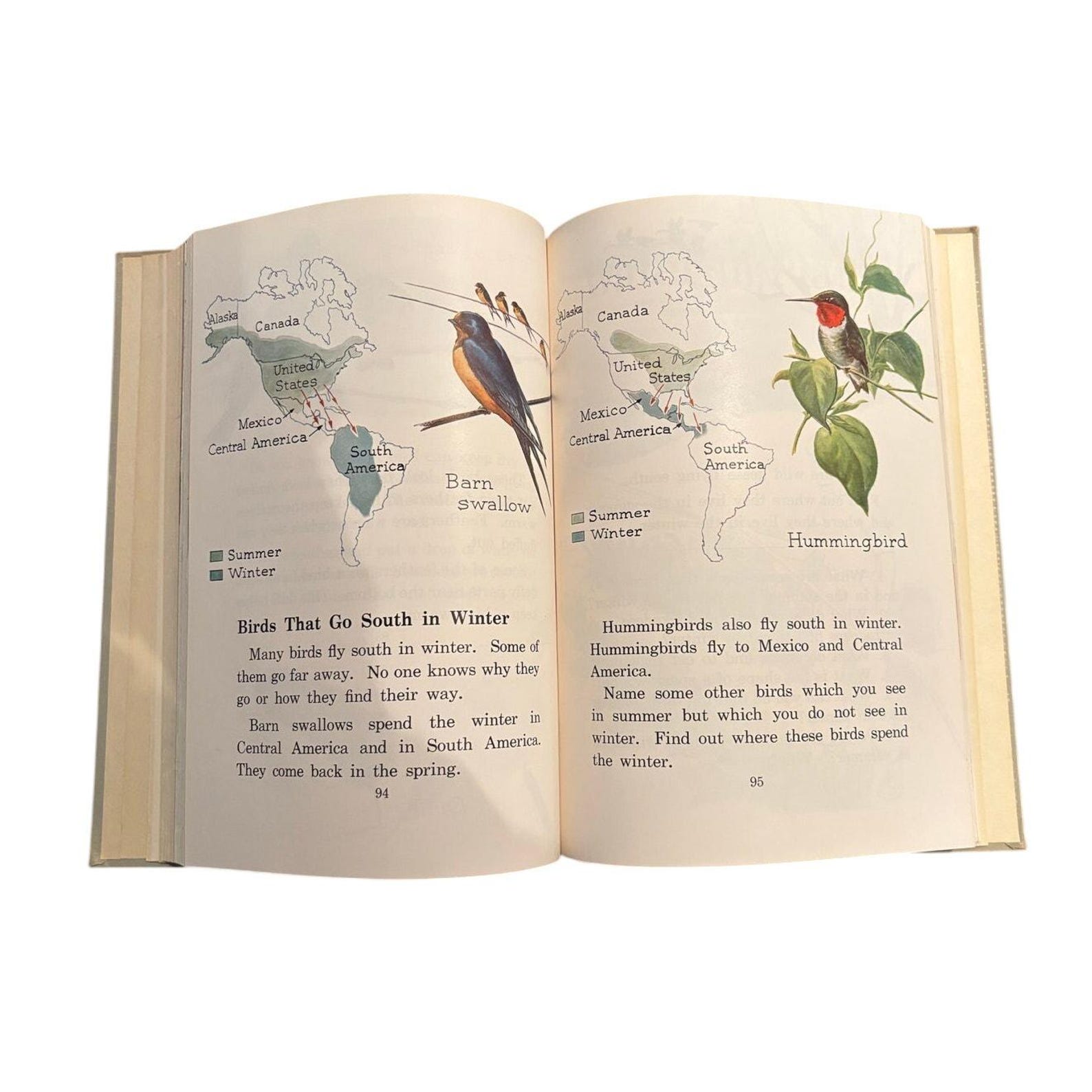 Vintage 1955 Exploring Science Book 4 by Thurber, Teacher's Edition ...