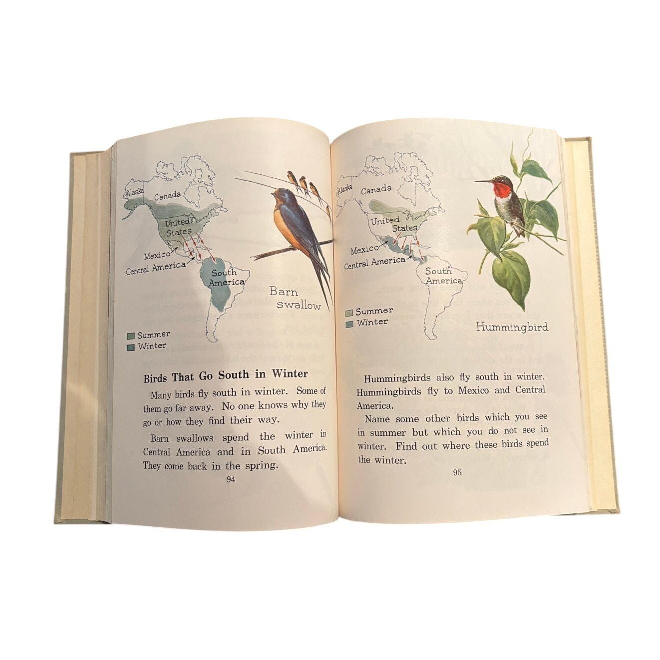 Vintage 1955 Exploring Science Book 4 by Thurber, Teacher's Edition ...
