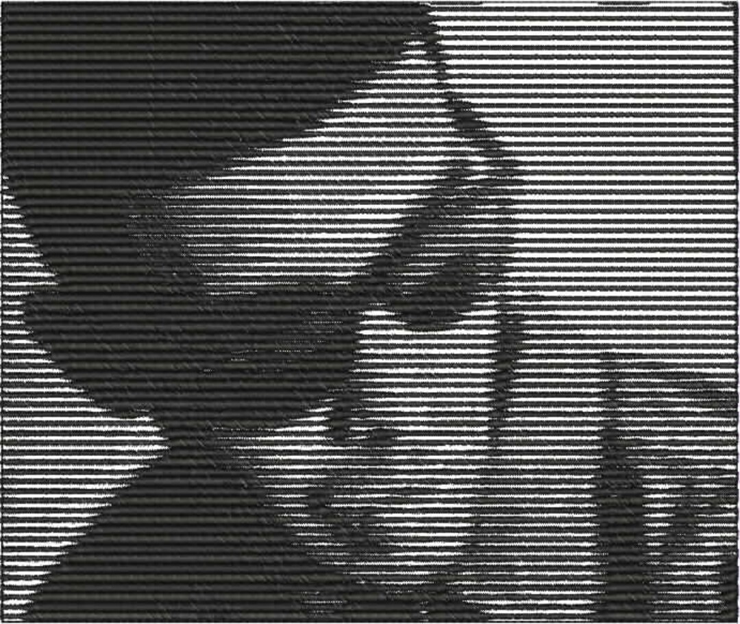 Drake Portrait Digitized Machine Embroidery Design Files - Etsy