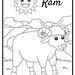 50 Farm Animals Coloring Pages - Etsy