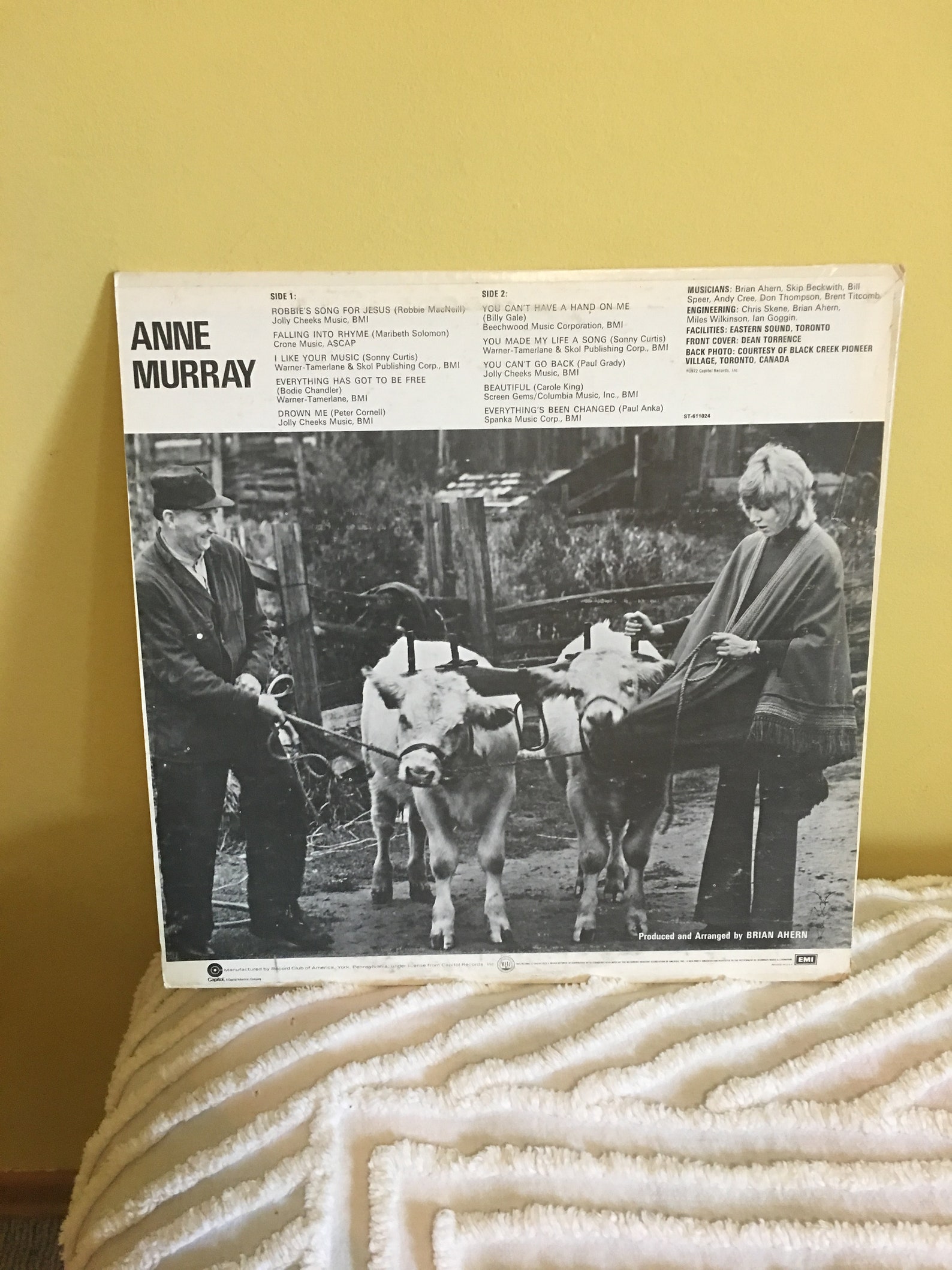 Ann Murray Annie Record Album GREAT CONDITION - Etsy