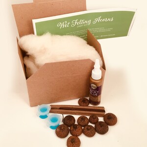 DIY Wet Felting Acorn Kit – Beginner Craft Kit With Ivory Wool for Kids ...