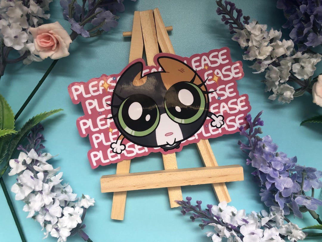 Funny Relatable Begging Cat Kitty Sticker - Etsy