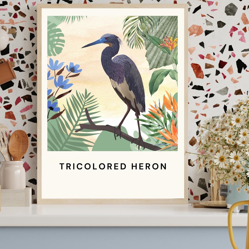 Florida Bird Art - Etsy