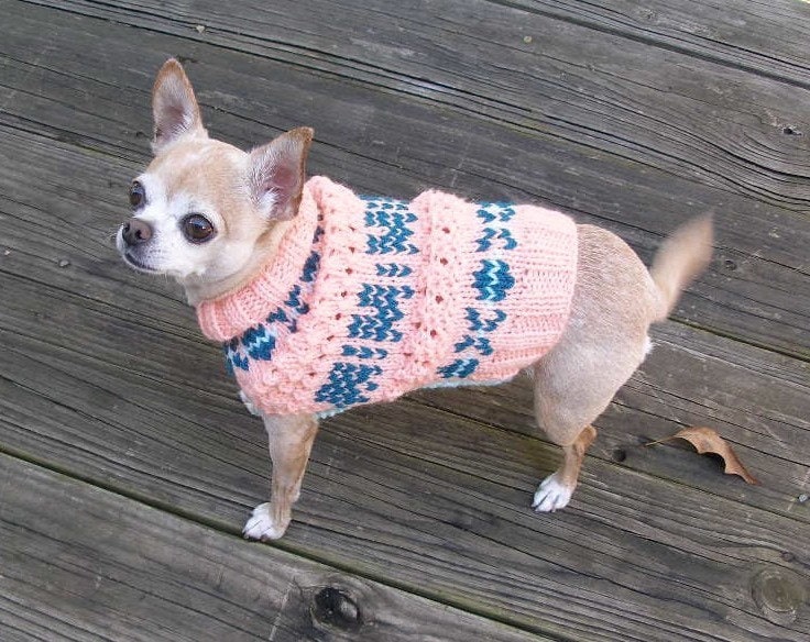 Digital Download - PDF Knitting Pattern for the Holiday Dog Sweater ...