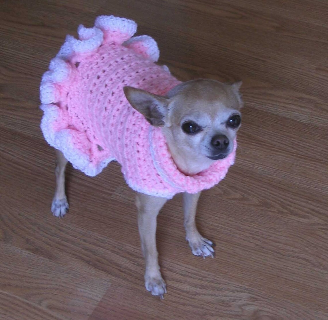 Cha-cha- Digital Download Crochet Pattern for Little Dogs - Chihuahua ...