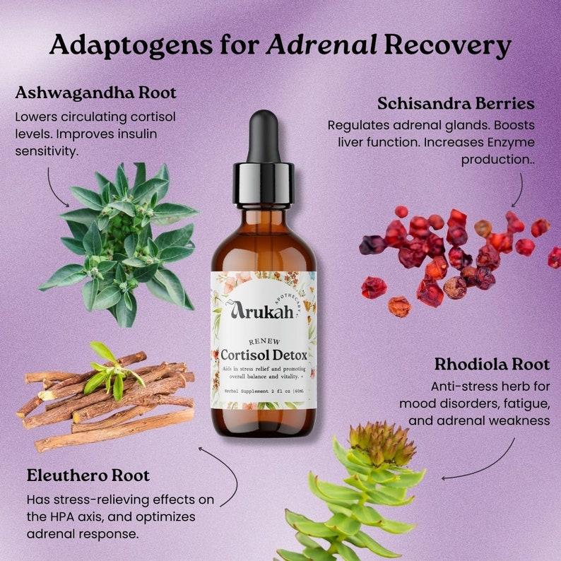 Cortisol Detox - Etsy