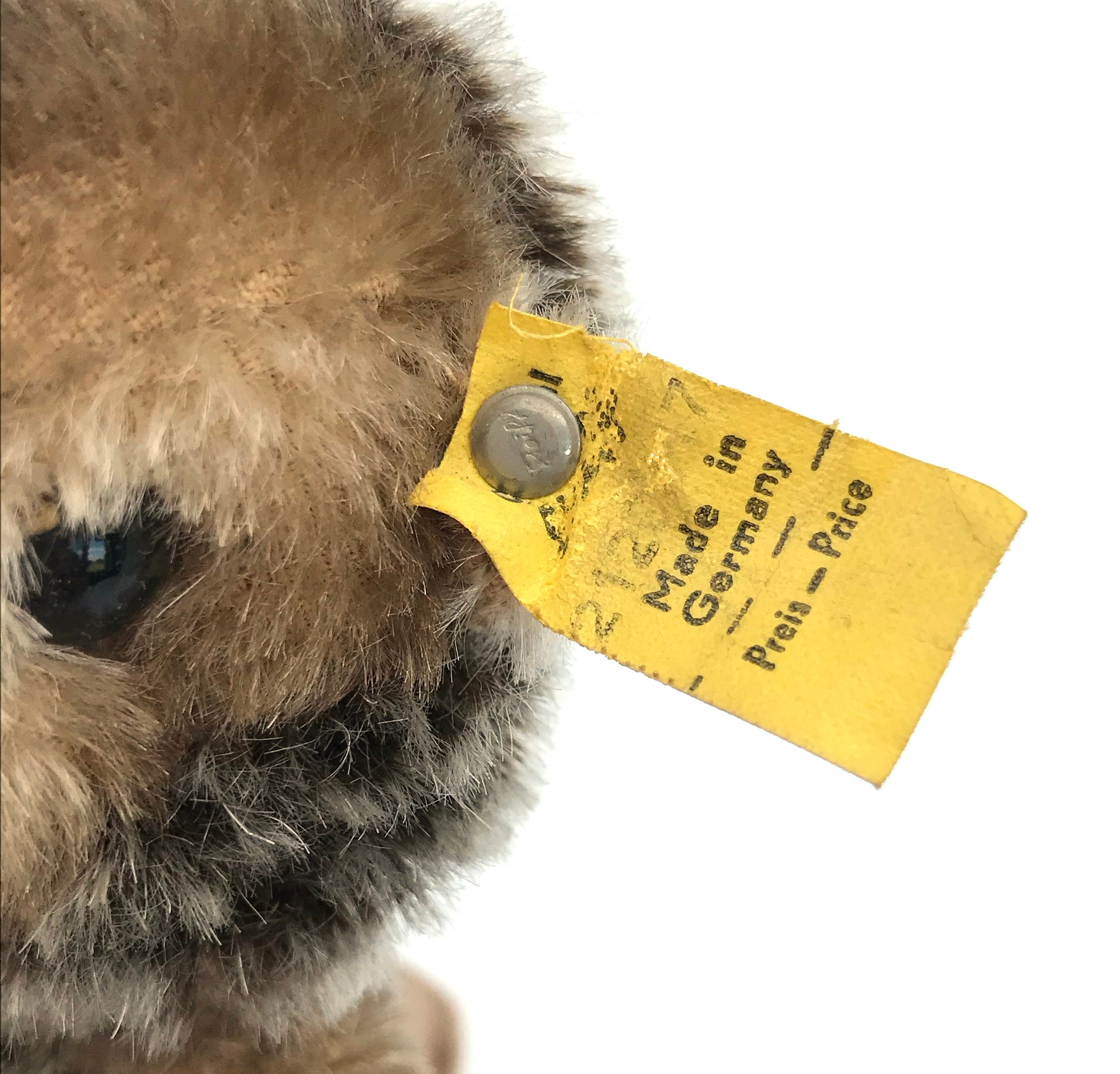 Steiff Germany Nagy Beaver Mohair Plush 17 Cm 7 Inches ID Button Tag ...