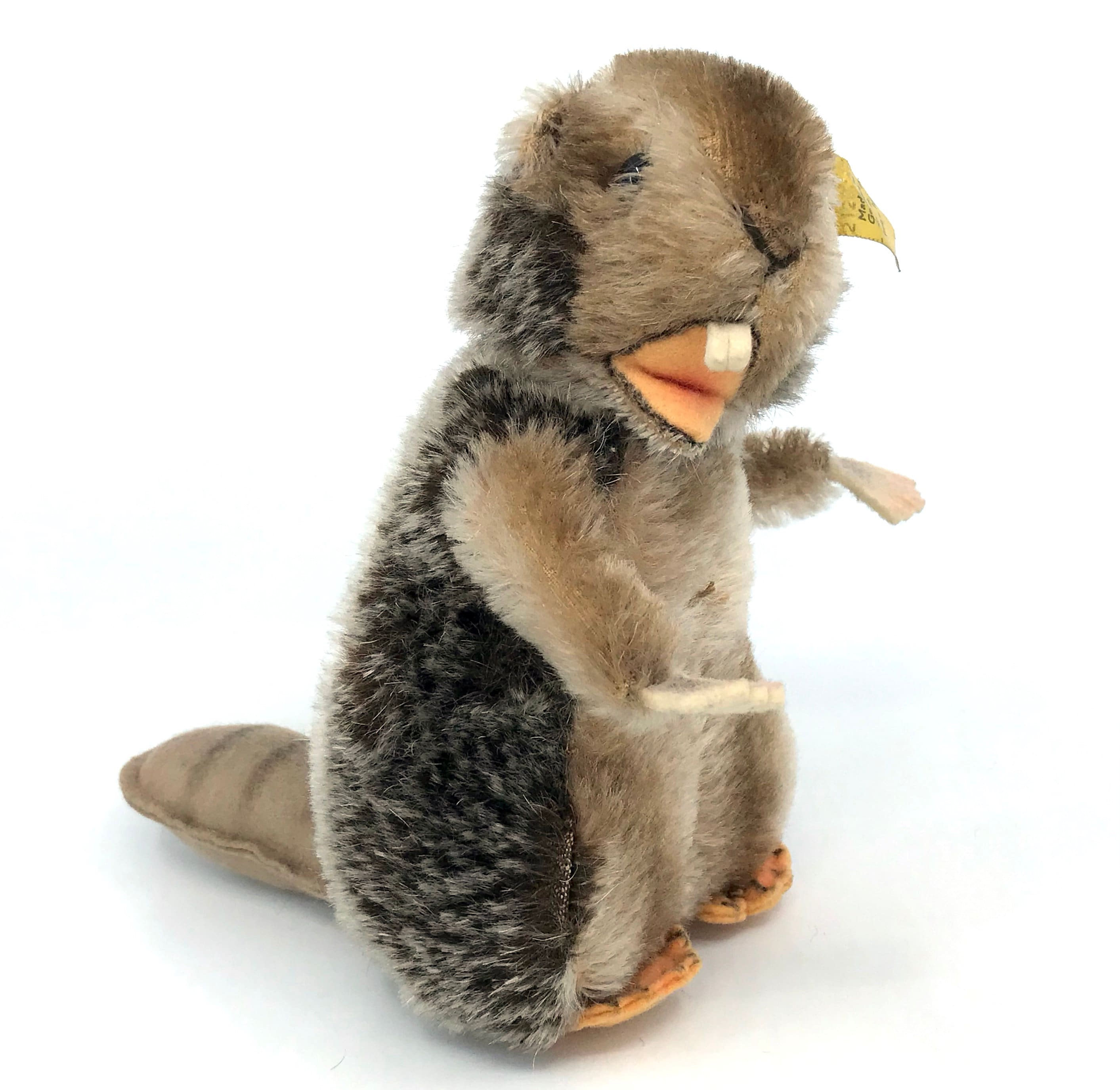 Steiff Germany Nagy Beaver Mohair Plush 17 Cm 7 Inches ID Button Tag ...
