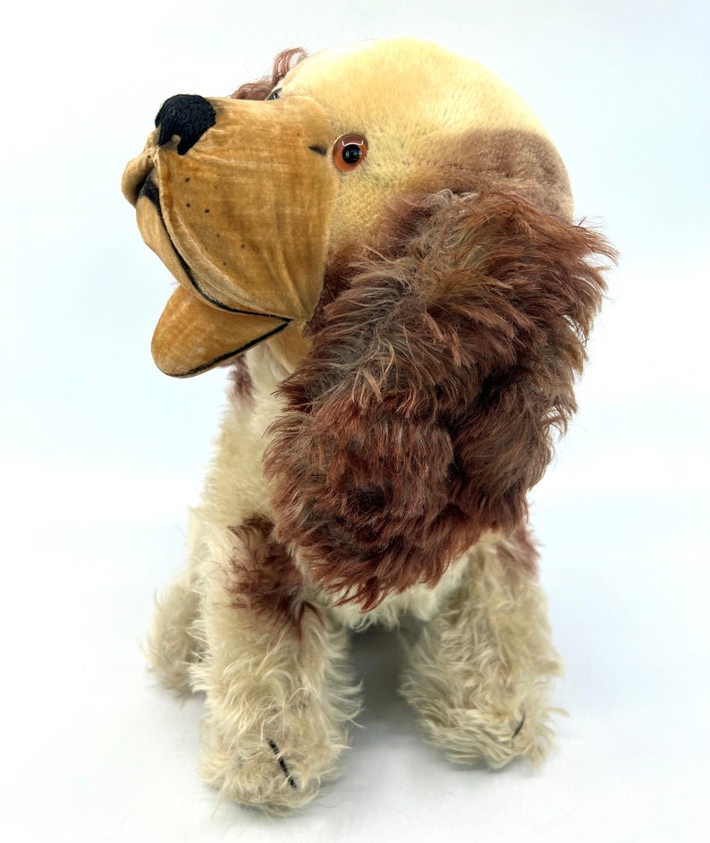 Steiff Cockie Cocker Spaniel 1958 Big Dog 30cm 12 Inches Mohair Plush ...