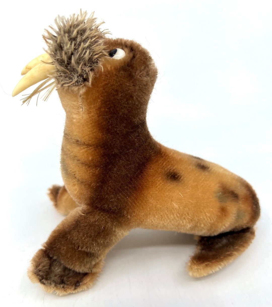 Steiff Paddy Walrus 1959 -65 Mohair Plush 14cm 5.5 Inches Tusks No ID ...
