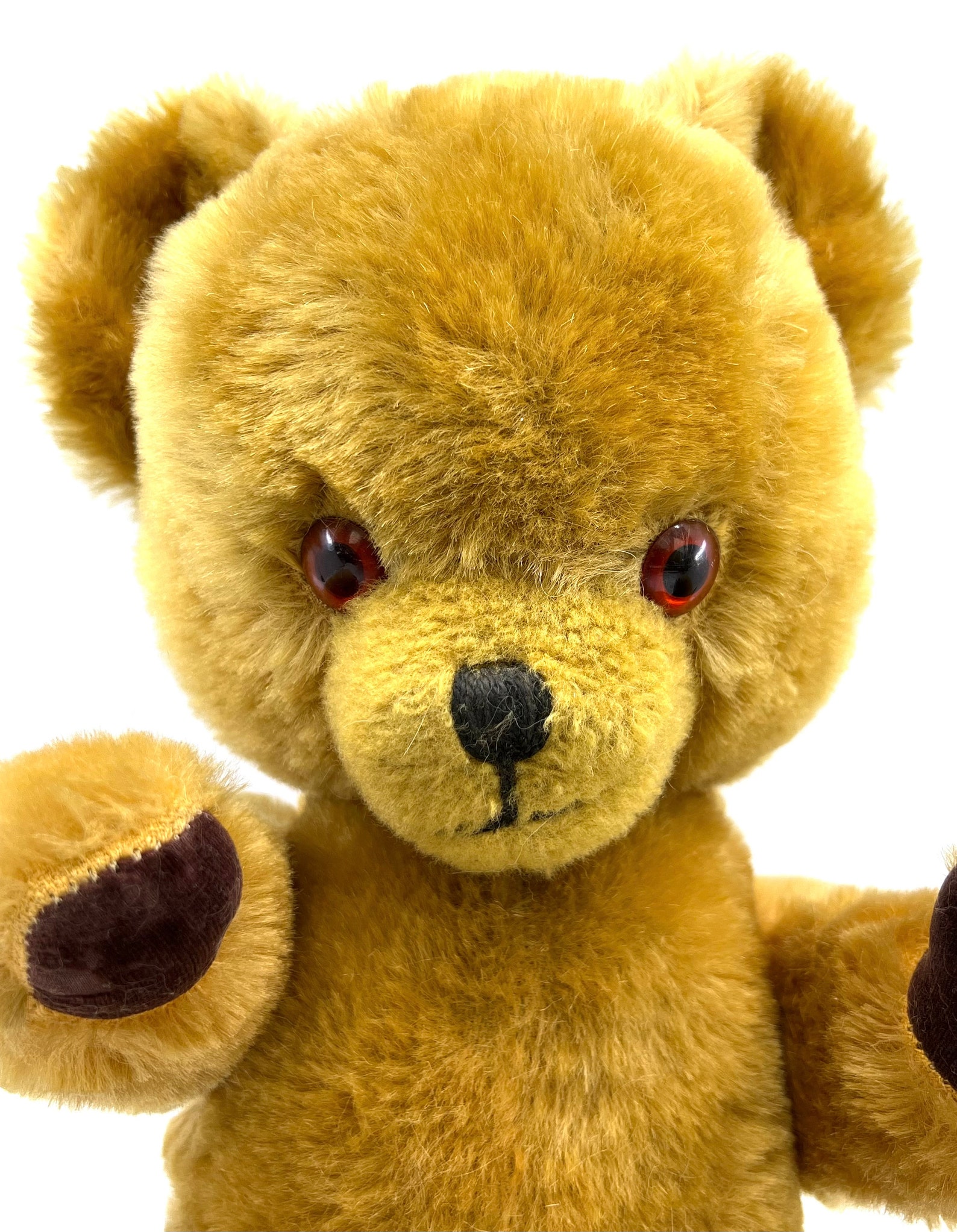 Pedigree Ireland Teddy Bear 1960s Seam Tag Gold Mohair Bells - Etsy