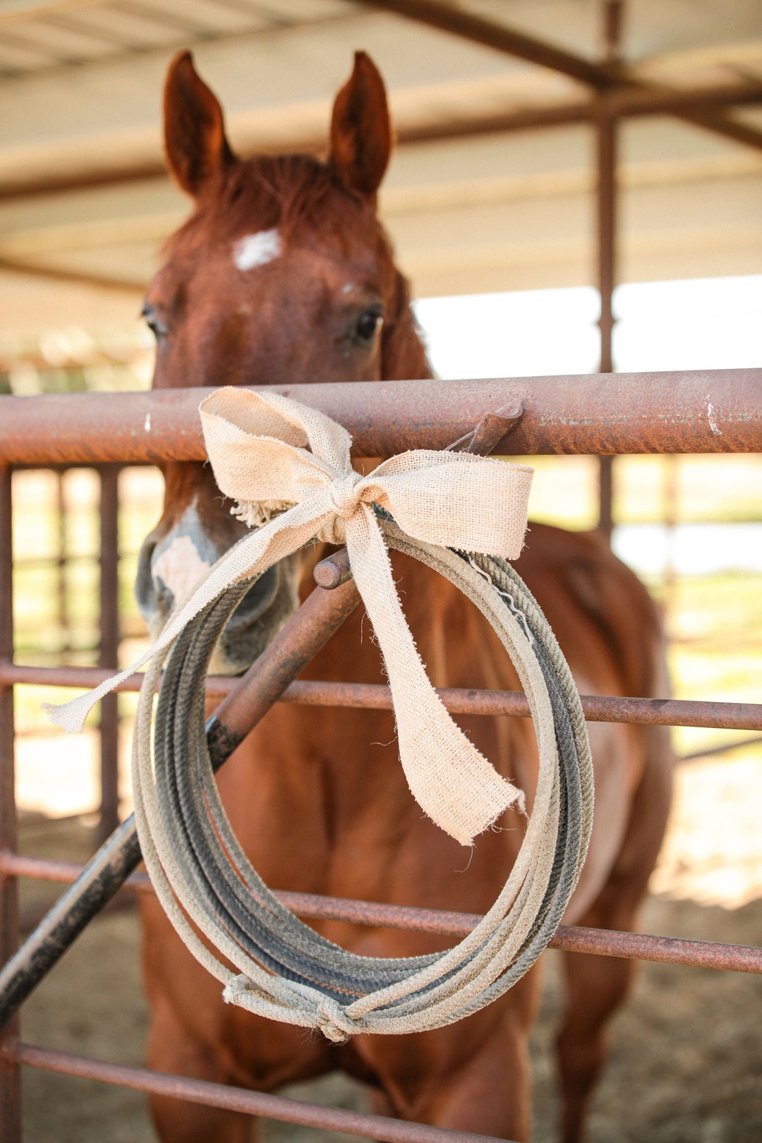 Cowboy Rope Decor, Western Rustic Lasso - Etsy