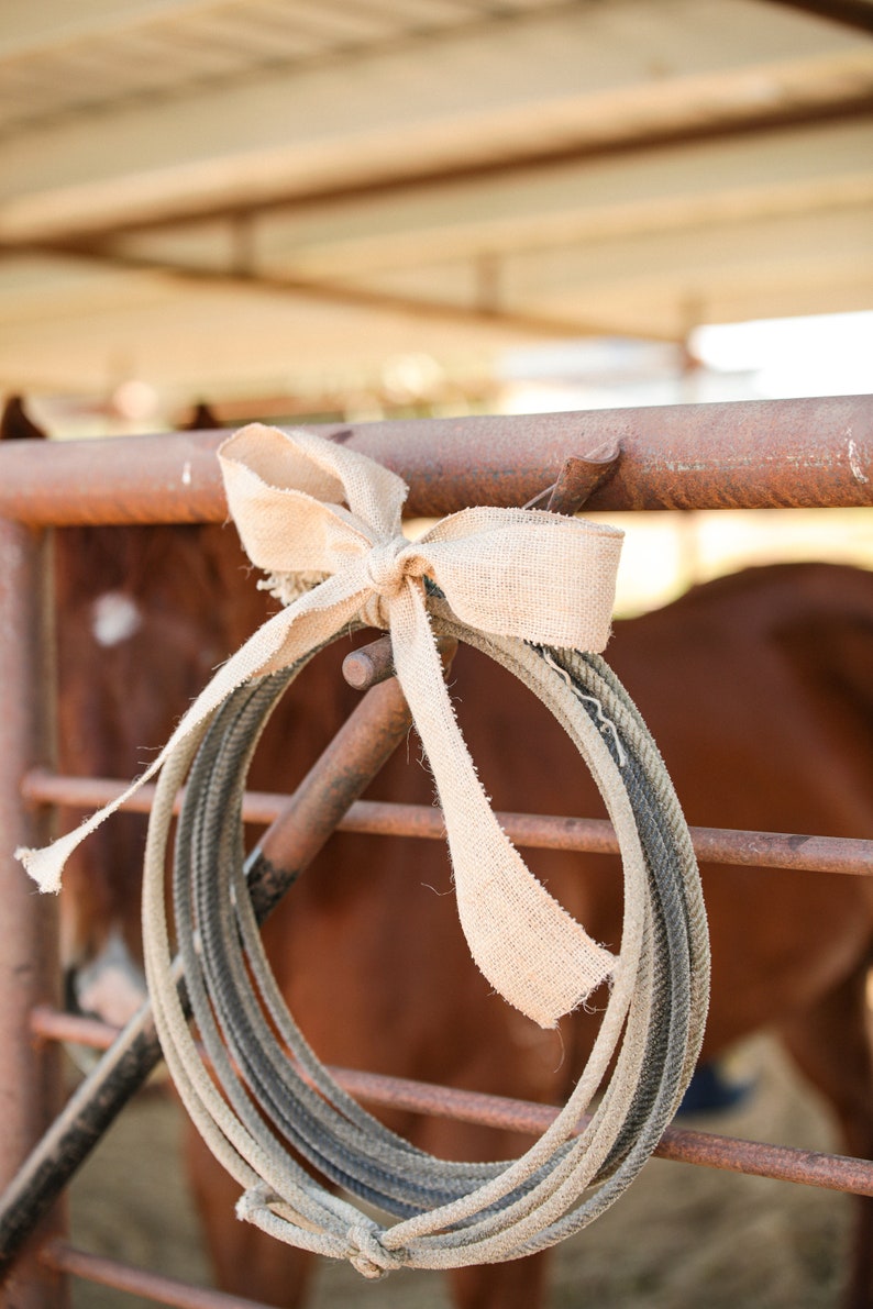 Cowboy Rope Decor, Western Rustic Lasso - Etsy