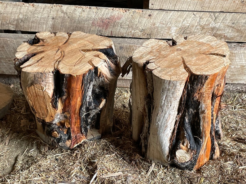 Stump Tables - Etsy