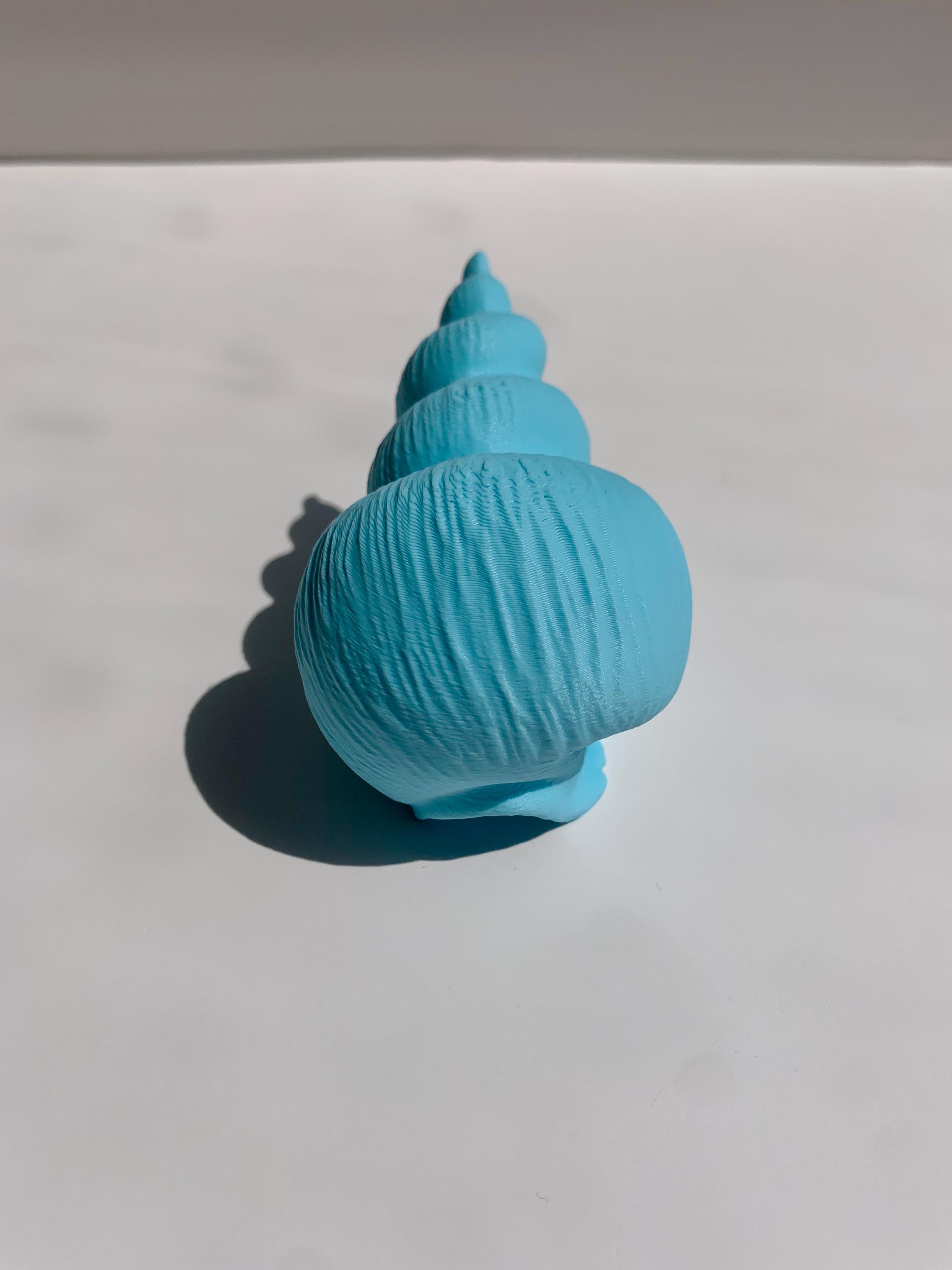 Conch Desk Toy Eco-friendly Sea Shell Stress Relief & Unique Office ...