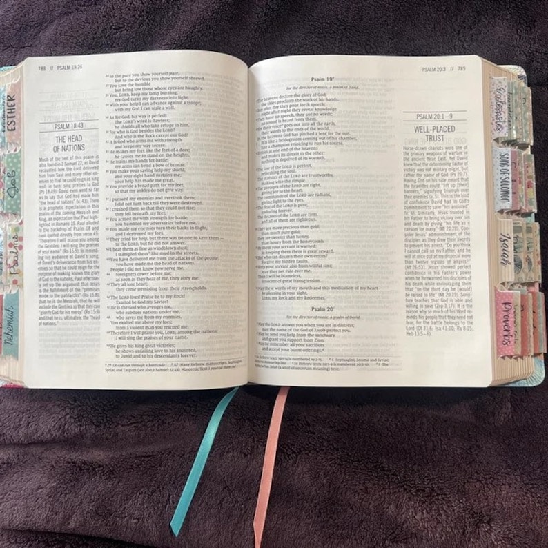 PERSONALIZE Bible NIV the Jesus Bible Bible Installed Laminated Tabs ...