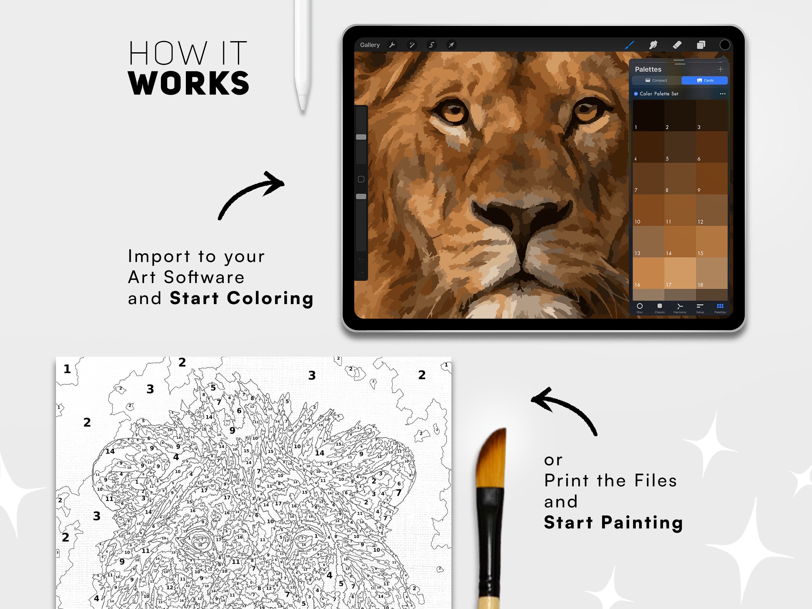 Paint by Number Kit Digital Download Printable Set Procreate Template ...