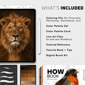 Paint by Number Kit Digital Download Printable Set Procreate Template ...