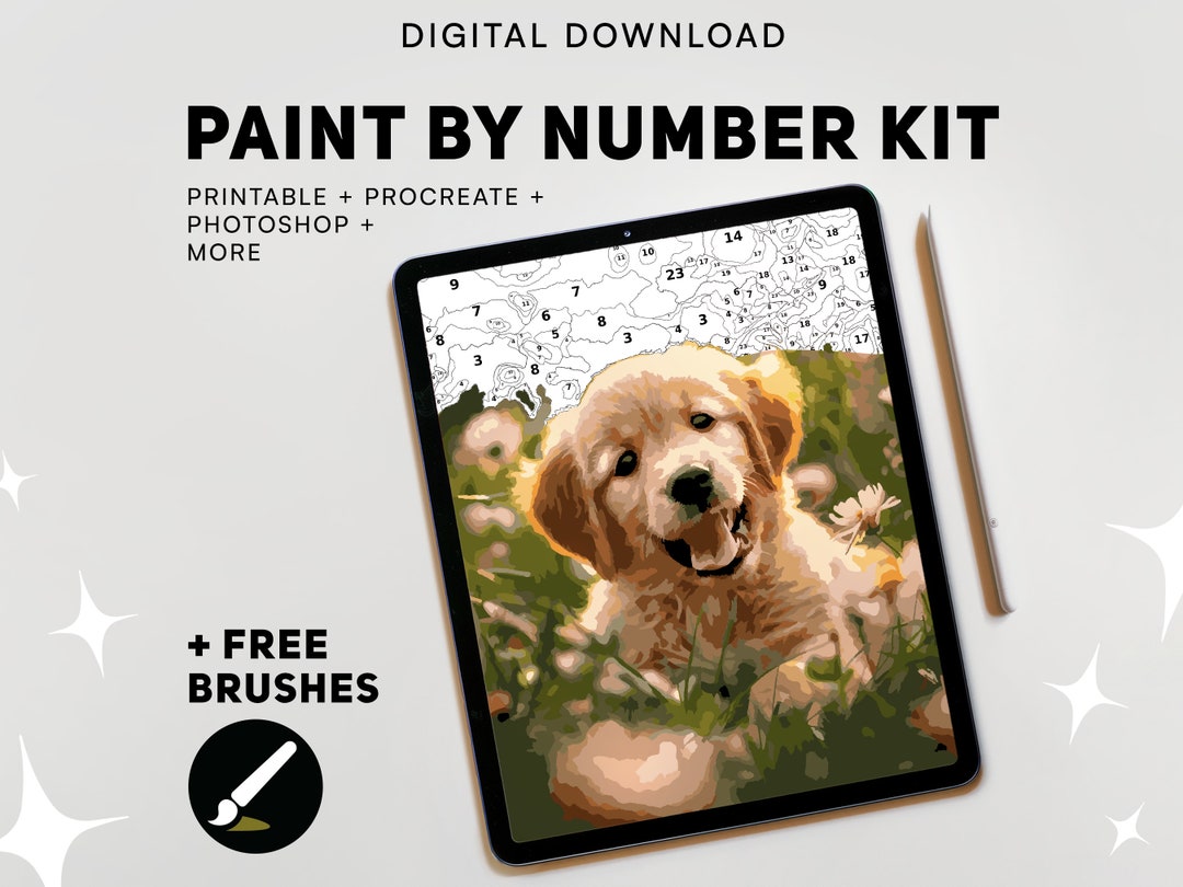 Paint by Number Kit Digital Download Printable Set Procreate Template ...