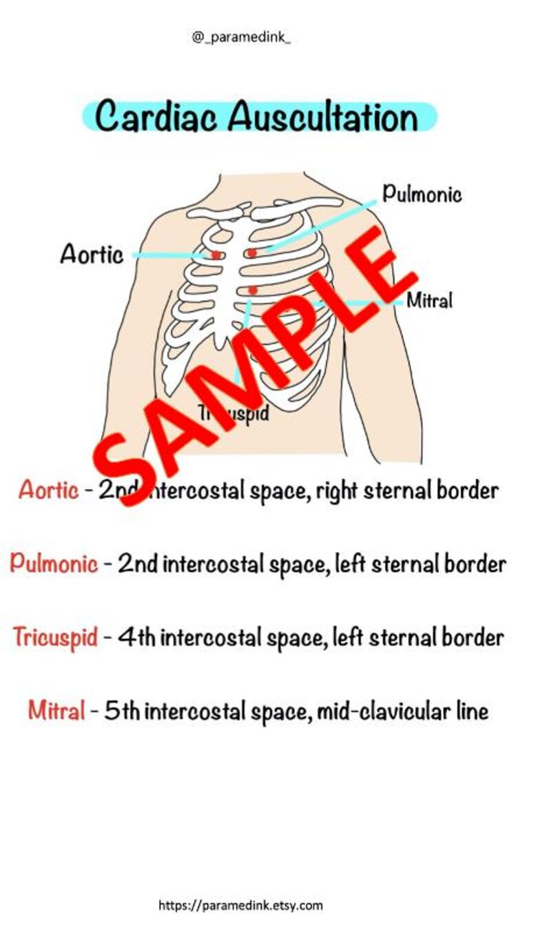 ECG Reference Cards DIGITAL - Etsy
