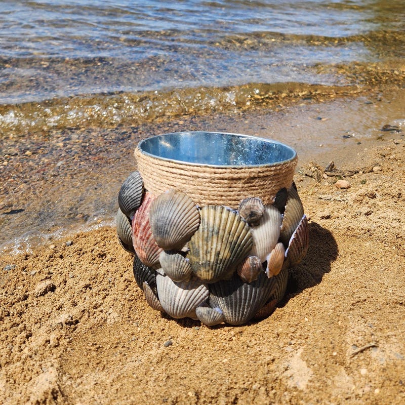Shell Planter - Etsy
