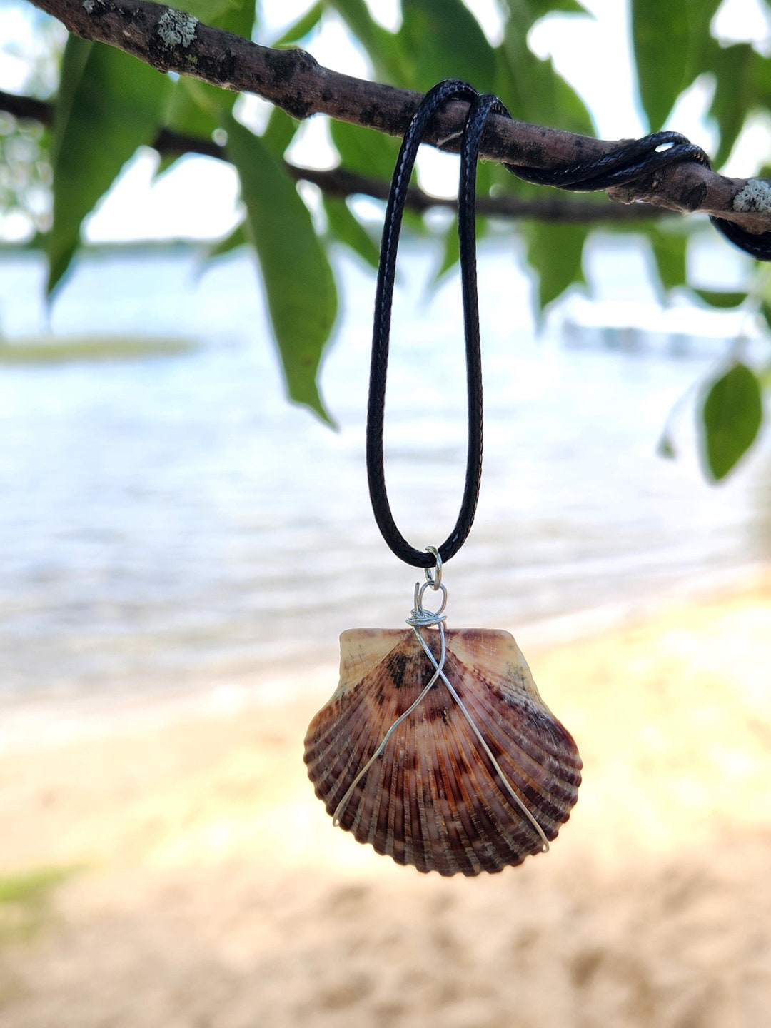 Purple, Black, Calico, Scallop, Seashell, Necklace, Real, Handmade ...