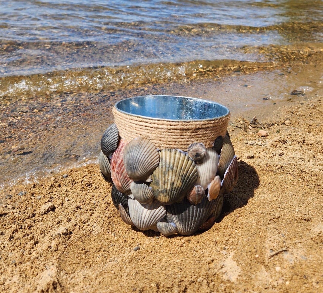 Seashell Planter, Seashell Pot, Planter, Pot, Scallop, Scallop Shell ...