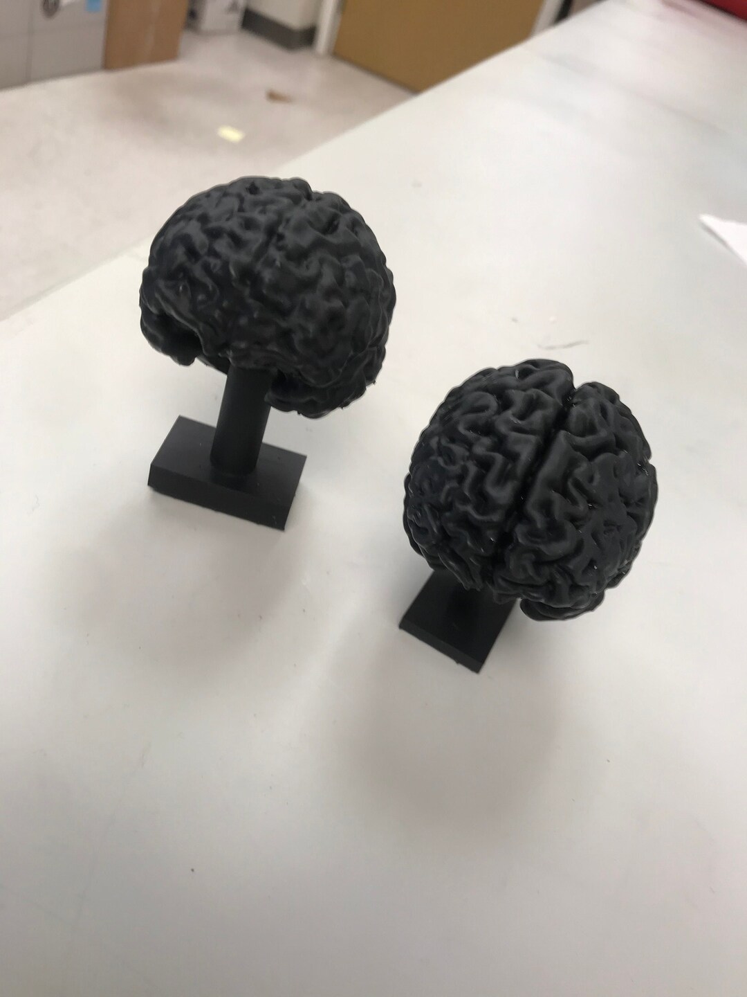 Custom Anatomical 3D Files Print Your Scans or Imaging Turned Into a ...