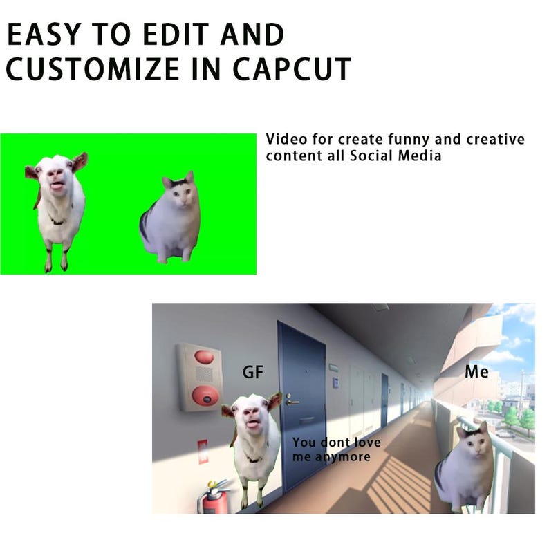 200 Meme Emote Pack Green Screen, Meme Bundle Video Green Background ...