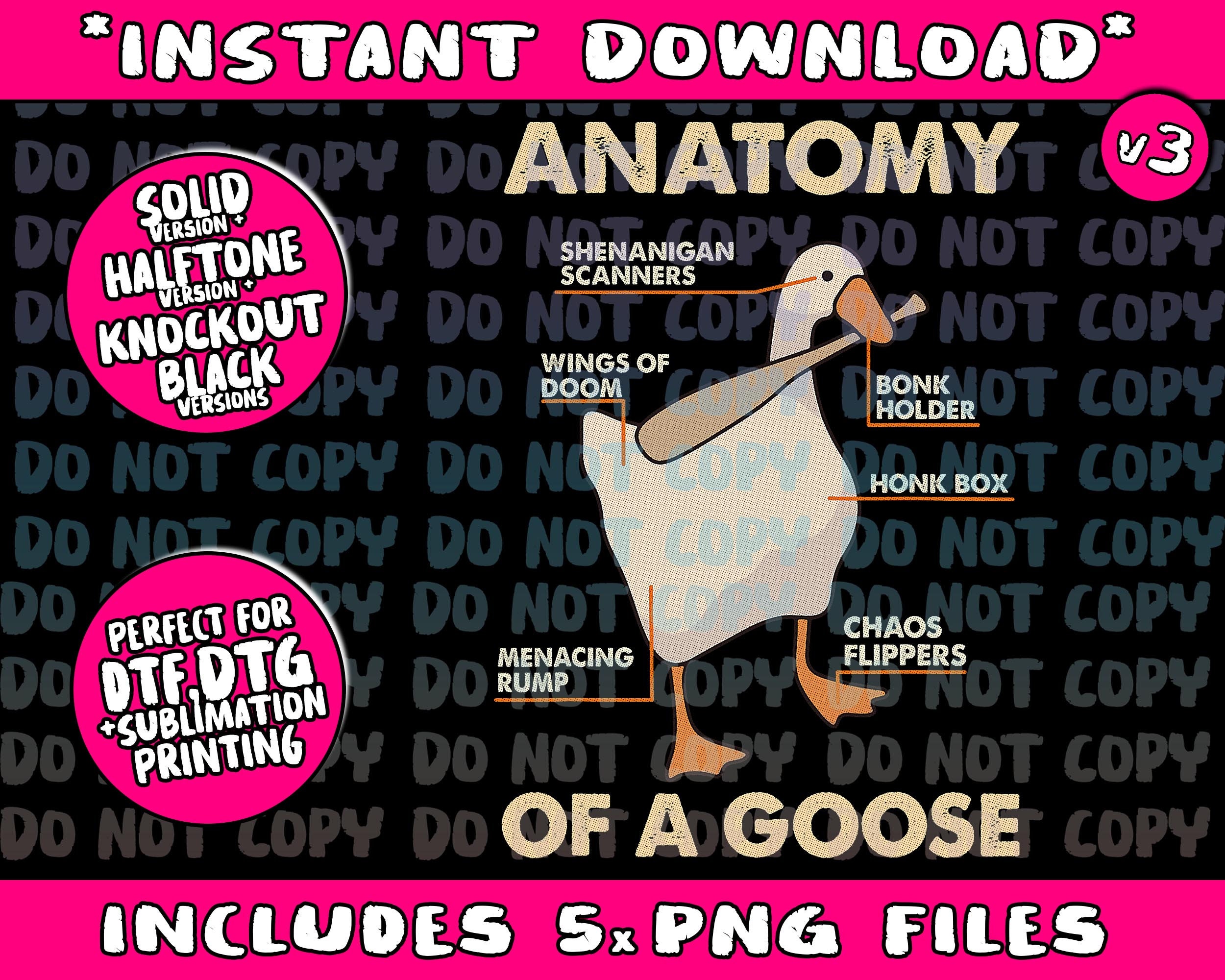 Anatomy of A Goose Funny Meme Animal Lover Goose Honk Bonk PNG Bundle ...