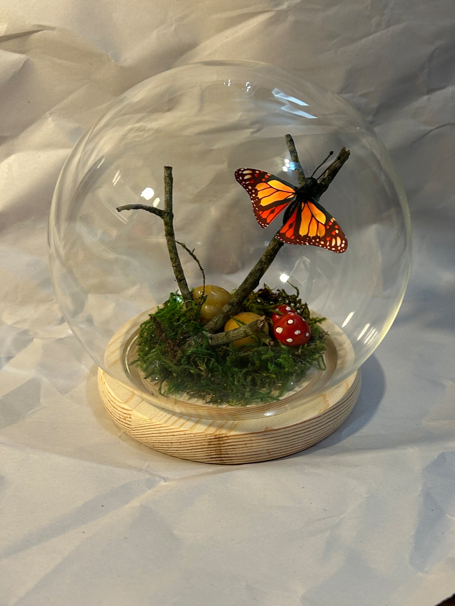 Circular Butterfly Forest Terrarium With Removable Glass Sphere - Etsy